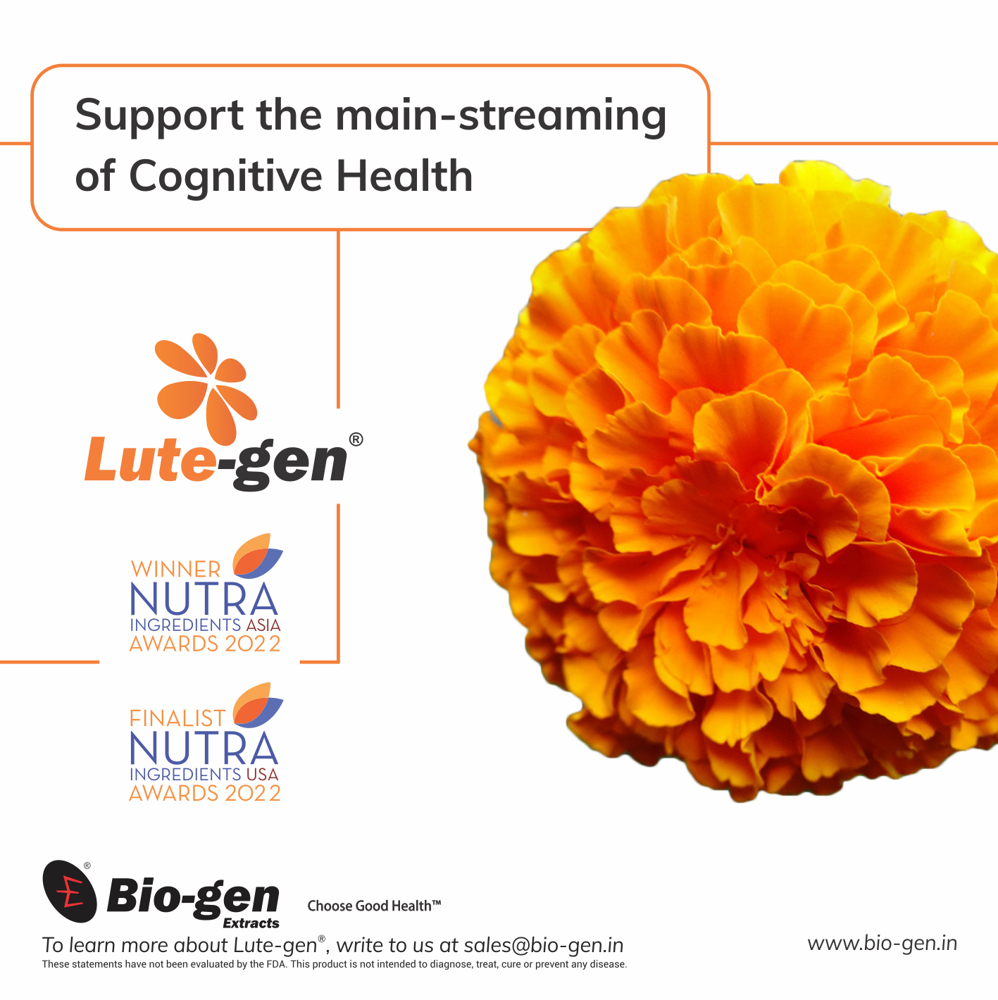 Cognitive health nutrition is no longer a niche market! | Choose Good ...